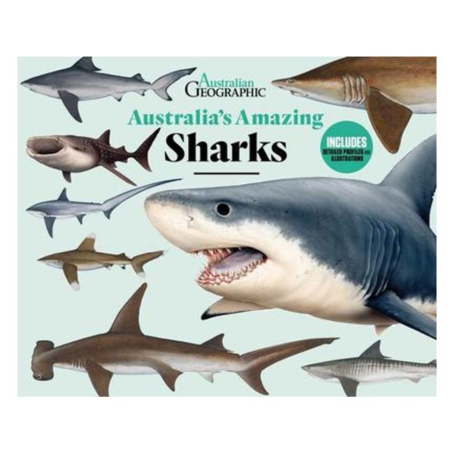 Australia'S Amazing Sharks - Australian Geographic (Editor) — Marston Moor